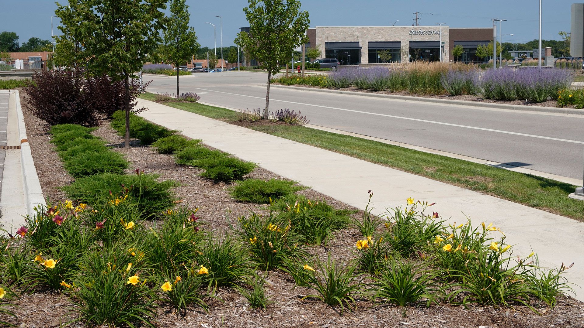 The Corridor | mixed-use retail development | landscape architecture ...