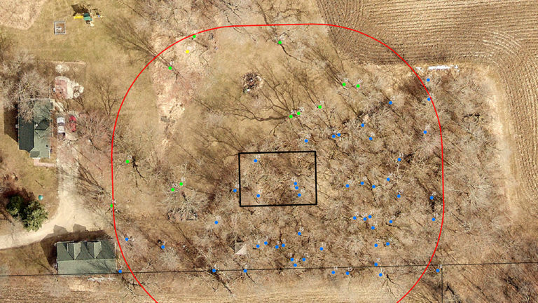 What is a Tree Survey, and When Do You Need One? - raSmith