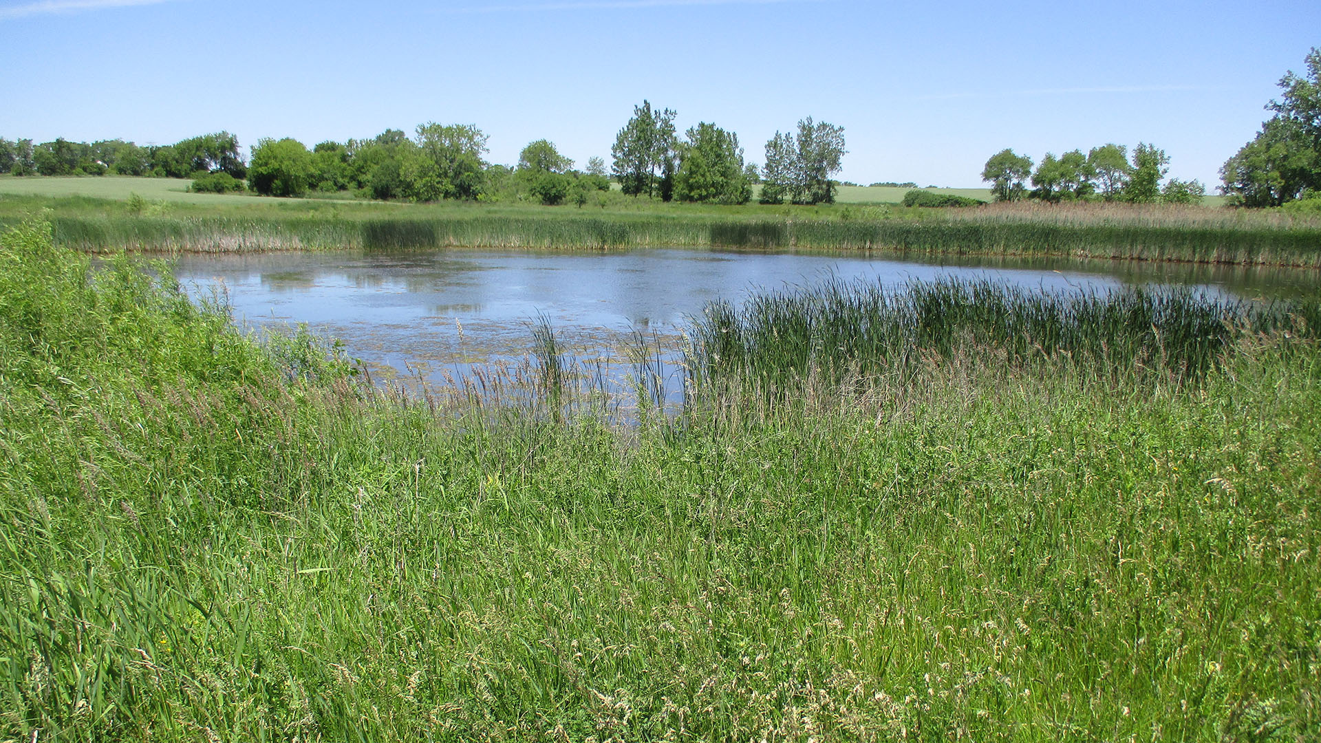 Prairie Highlands Corporate Park - raSmith