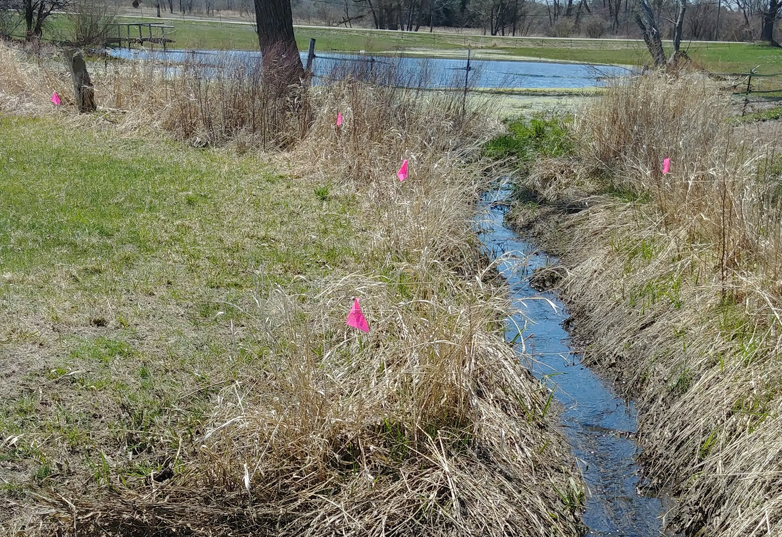 Evergreen Farm Stormwater Investigation - raSmith