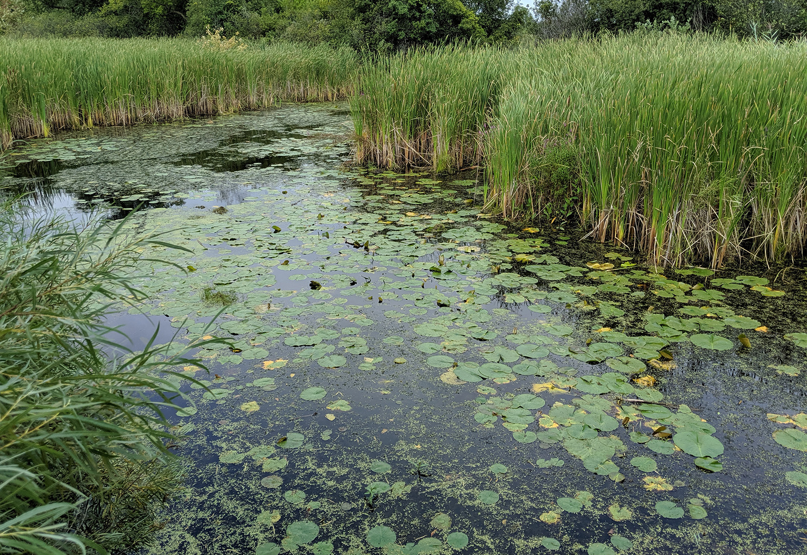 Floodplain Management | raSmith